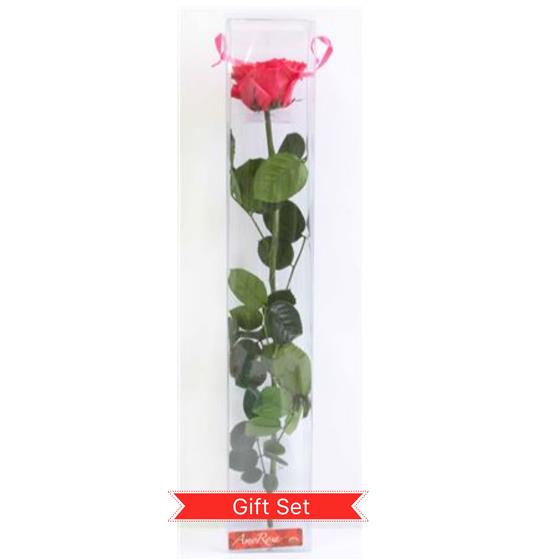Valentine Preserved Single Red Rose Gift Set